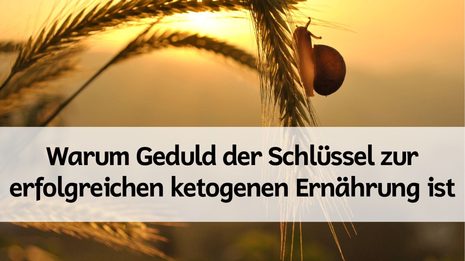 Ketose messen: Alles über Ketosticks, Symptome und Alternativen